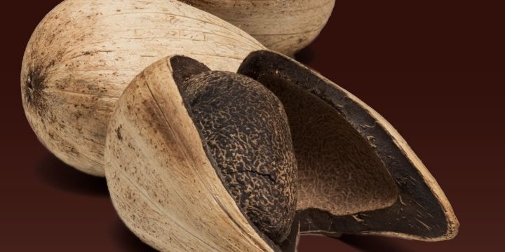 Superplants - Arbor Mundi Natural Products