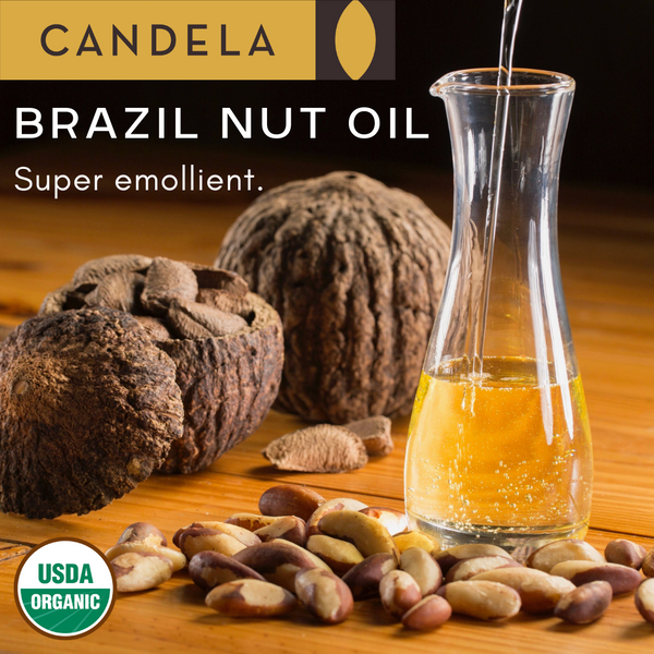 250ml (8.45oz) Organic Brazil Nut Oil (food format) - Arbor Mundi ...