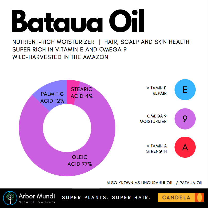 Wholesale Wild Bataua / Ungurahui / Pataua Oil - Arbor Mundi Natural ...